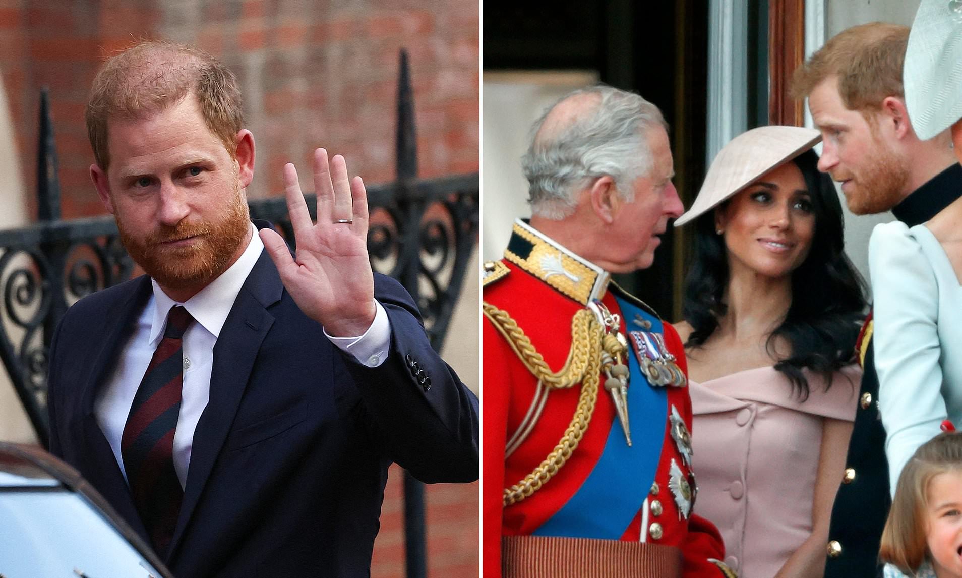 Prince Harry believes Home Office review into his taxpayer-funded ...