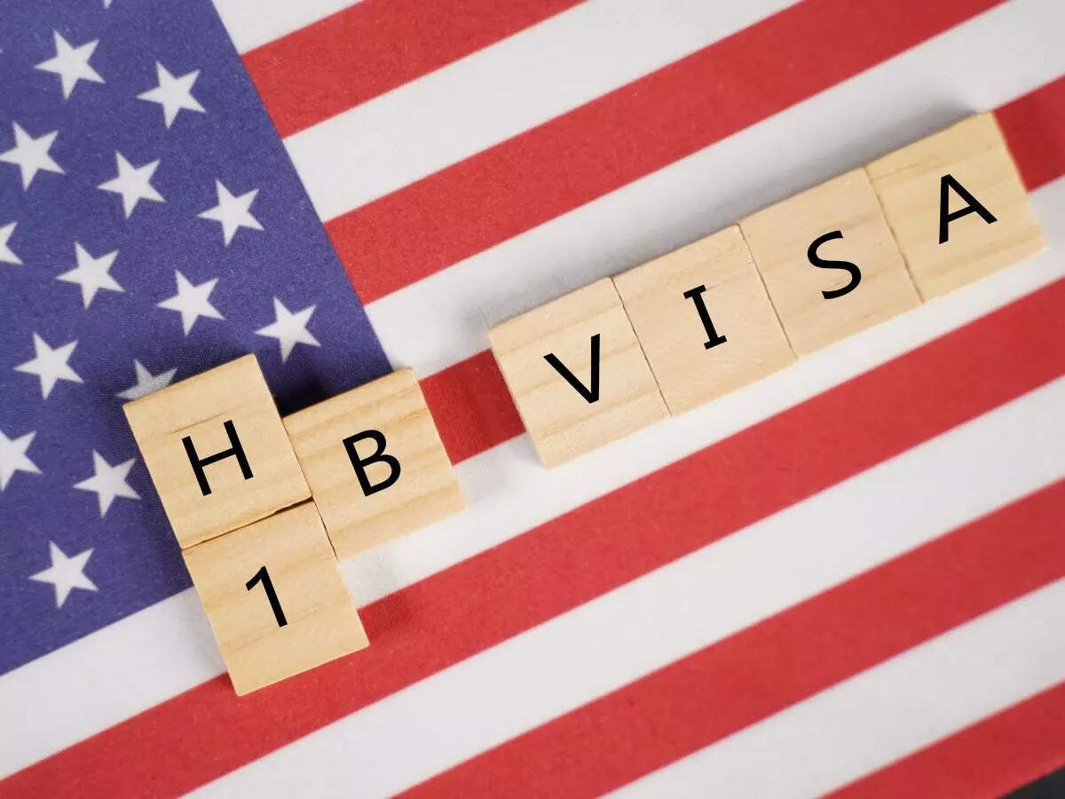 H-1B visa appointments cancelled for many applicants as US expands ...