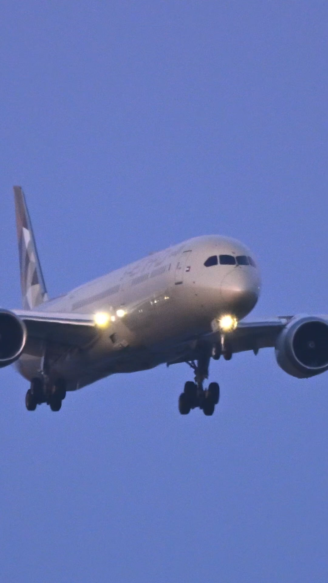 Why does this 787 landing look so close?