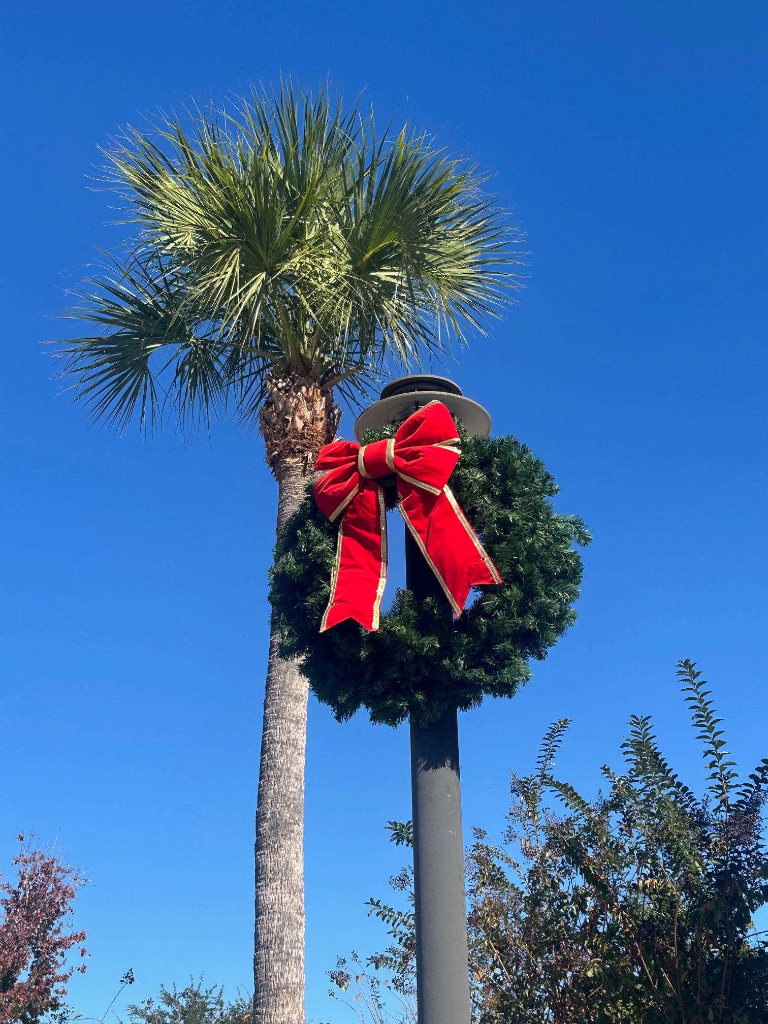 Updated 2025 holiday season event listing for Ocala and Marion County