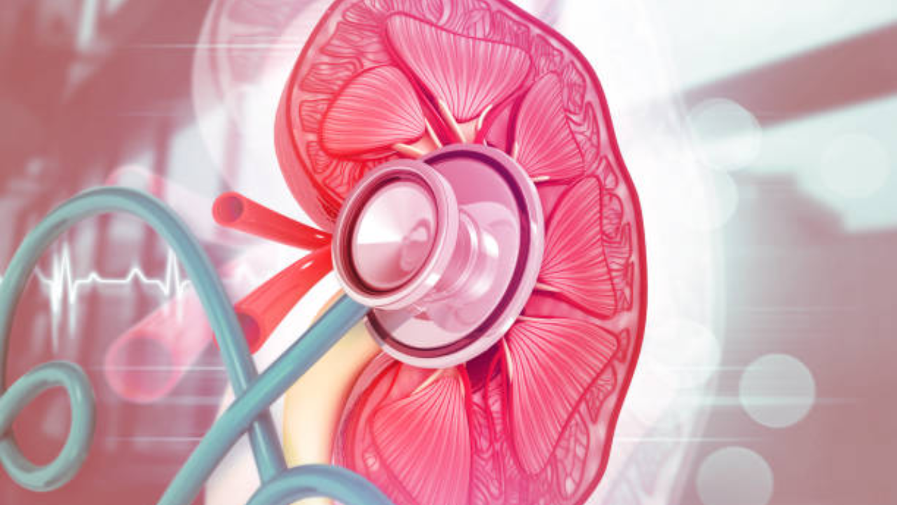 Kidney damage: 'Healthy' foods that can turn toxic for kidneys if overeaten