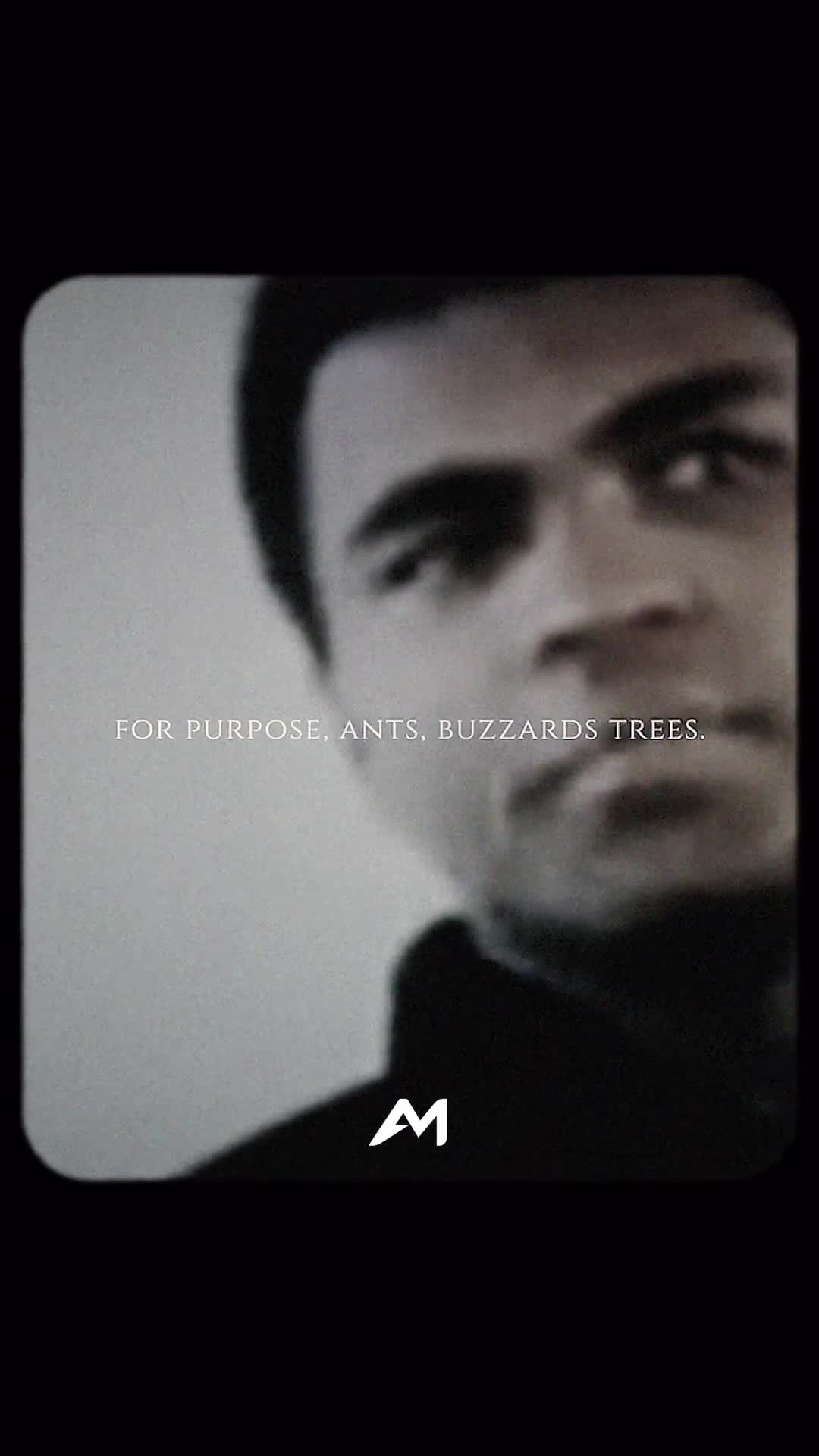 Everybody has a destiny. Are you willing to live yours?