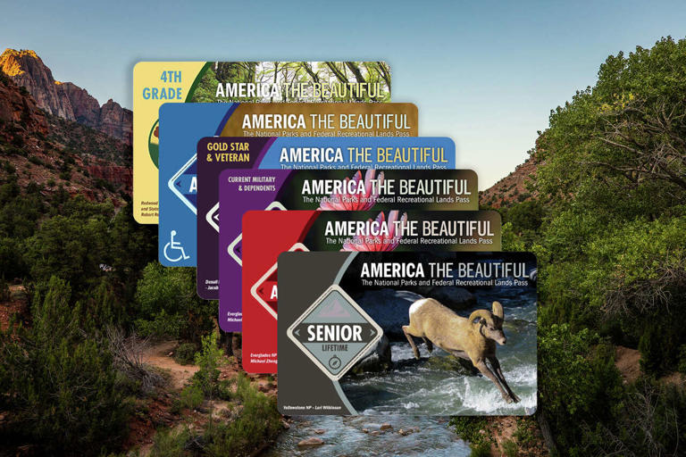 A sticker covering Trump's face could now void your national park pass