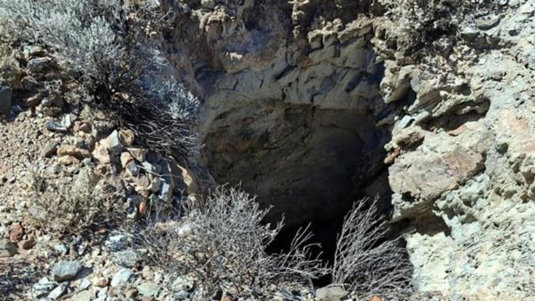 Sad update in latest search for 4yo Gus