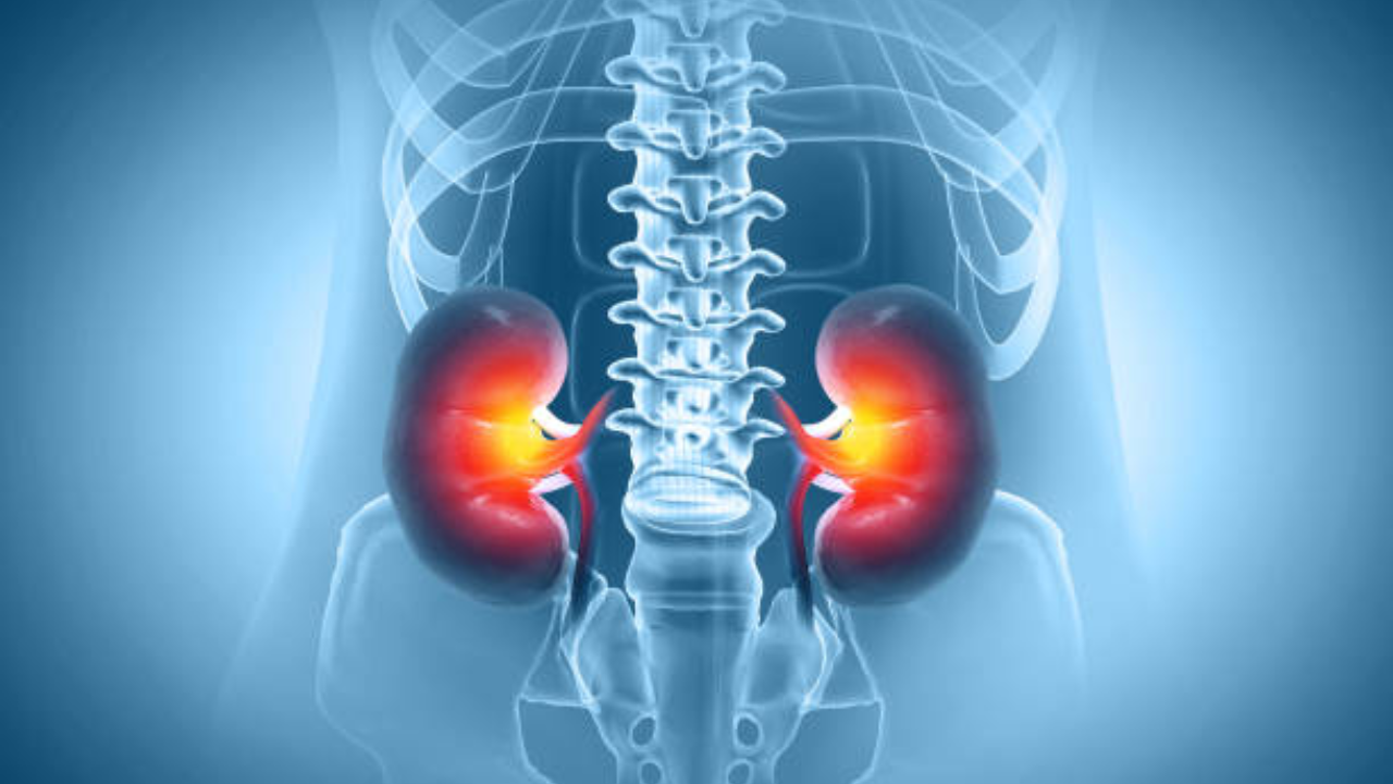 Kidney damage: 'Healthy' foods that can turn toxic for kidneys if overeaten