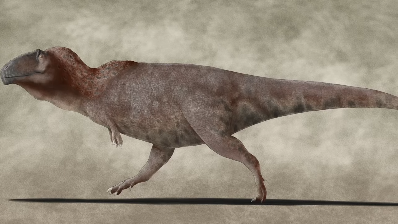 Giganotosaurus - the forgotten apex predator even T. rex couldn’t outrun
