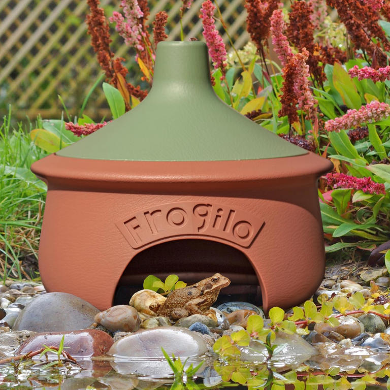 Now is the perfect time to build a frog house – it'll attract nature's ...