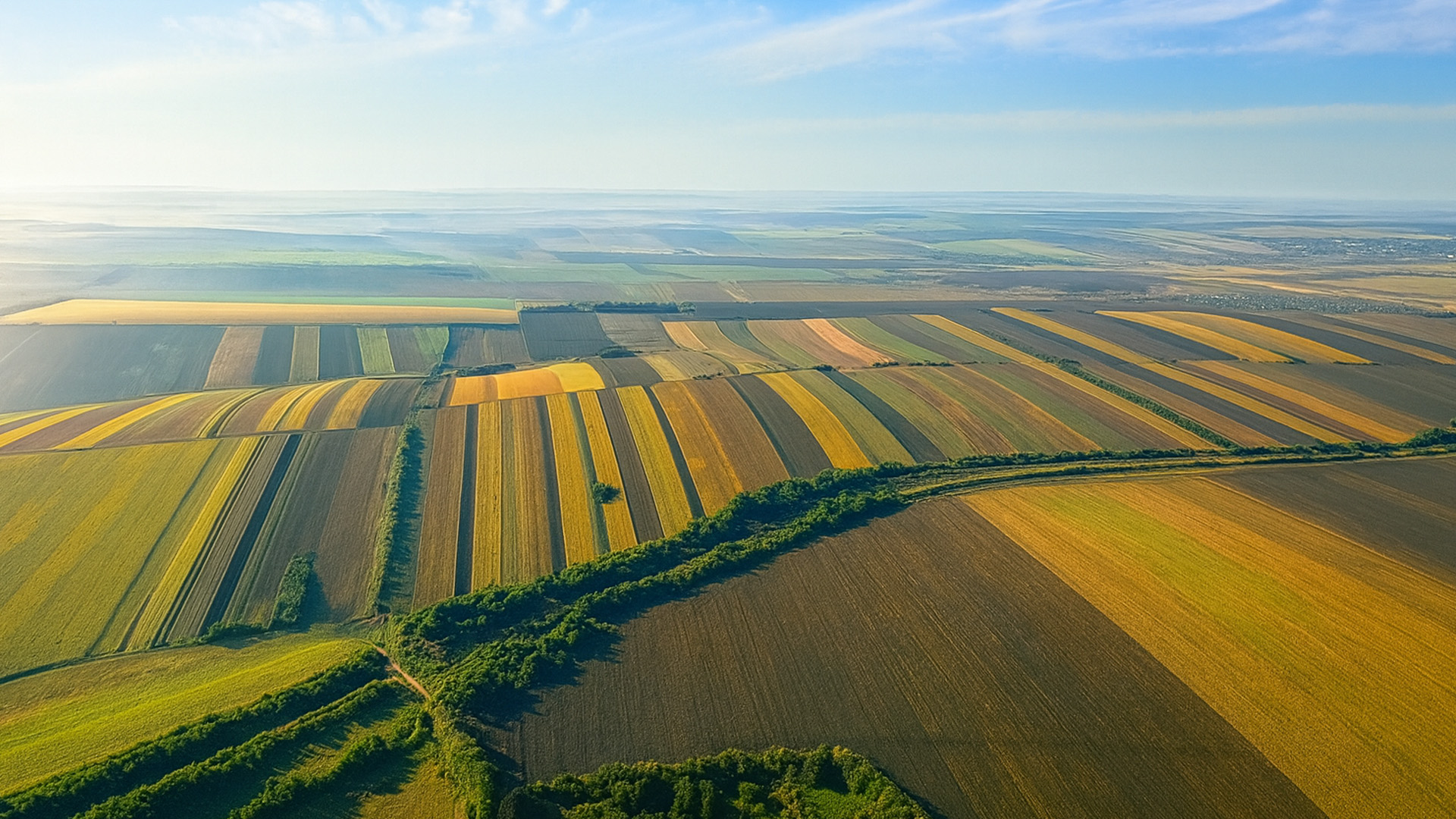 The Painted Fields of Moldova