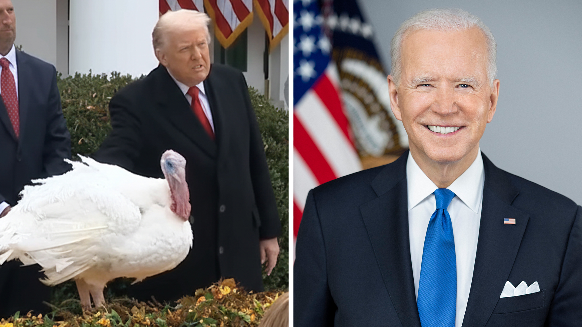 Trump Launches New Attack on Biden at Turkey Pardon, Calls Illinois ...