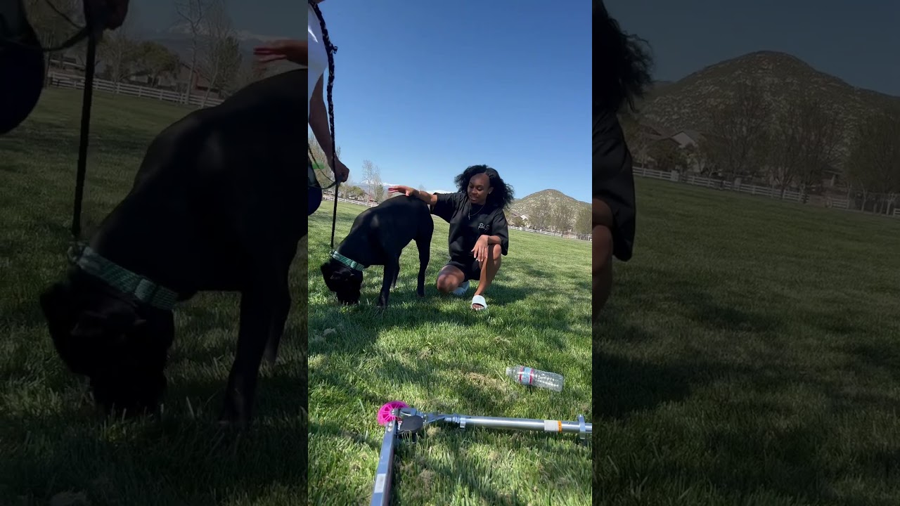 Our dog shares a special bond with his sister