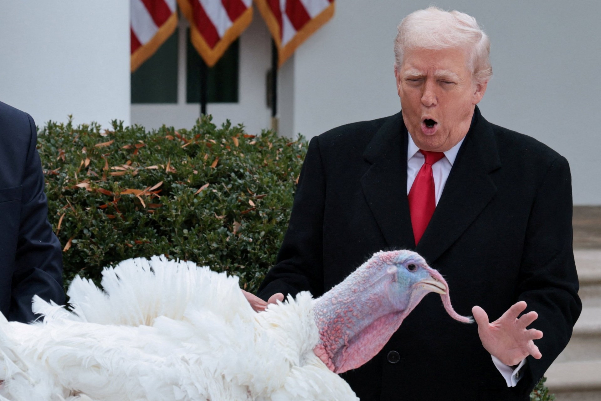 Donald Trump's turkey pardon turns into a gobble fest