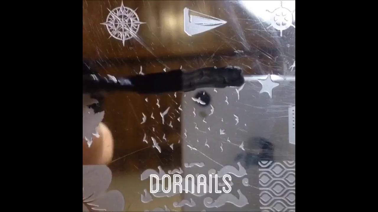 Sponge Tap And Bird Stamp Nail Art Satisfyingly