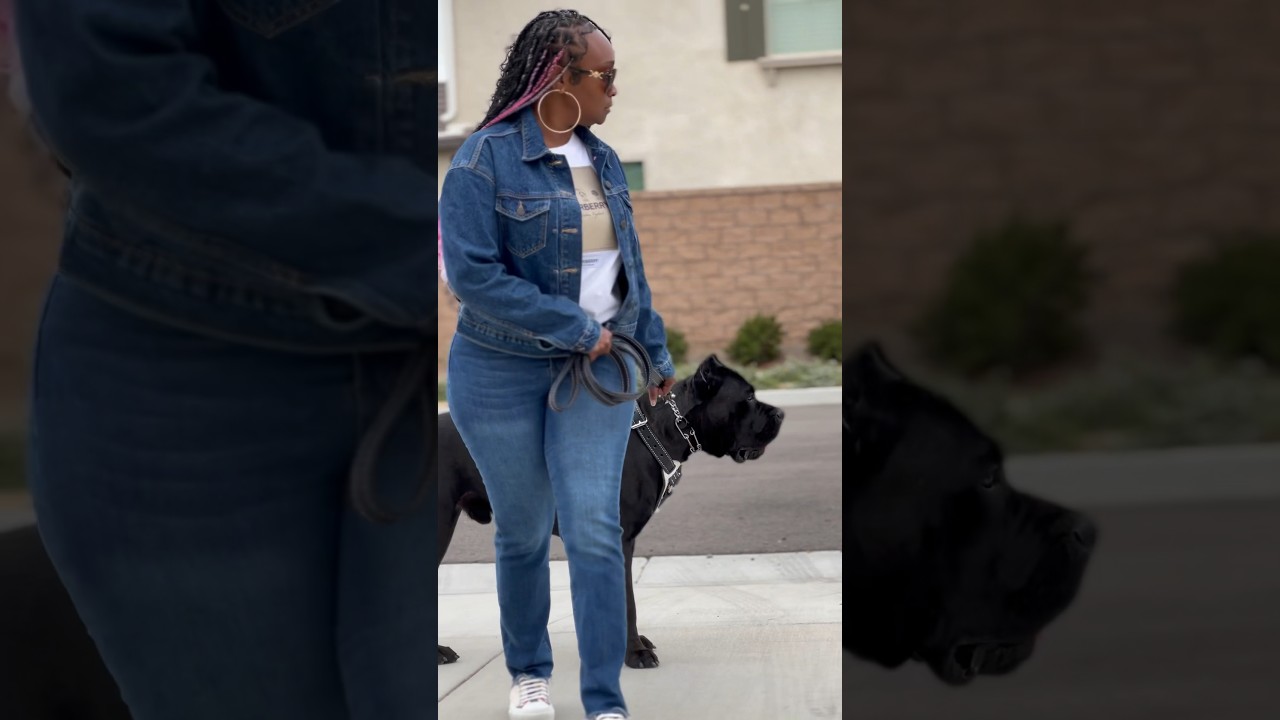 Confidence is key when you’re raising a giant goofball dog