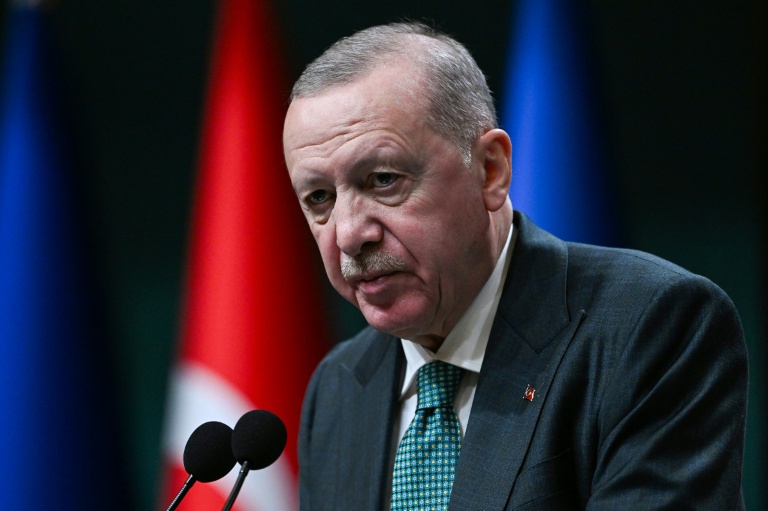 Court jails Turkish journalist for 'threatening' Erdogan: rights group