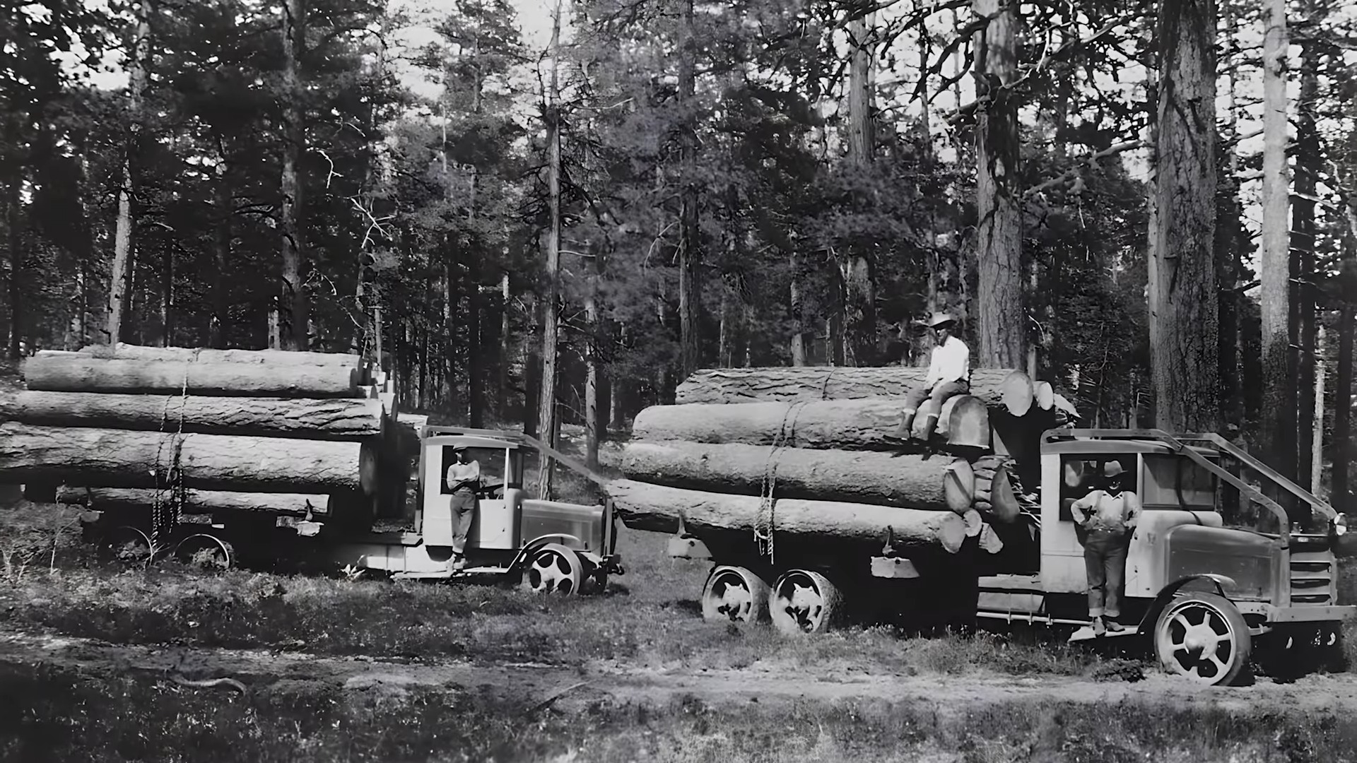 Why Even Experienced Woodsmen Won’t Go Into Coös County Alone