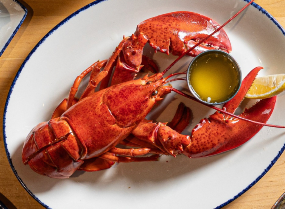 4 popular seafood chains with the best live lobsters, according to diners