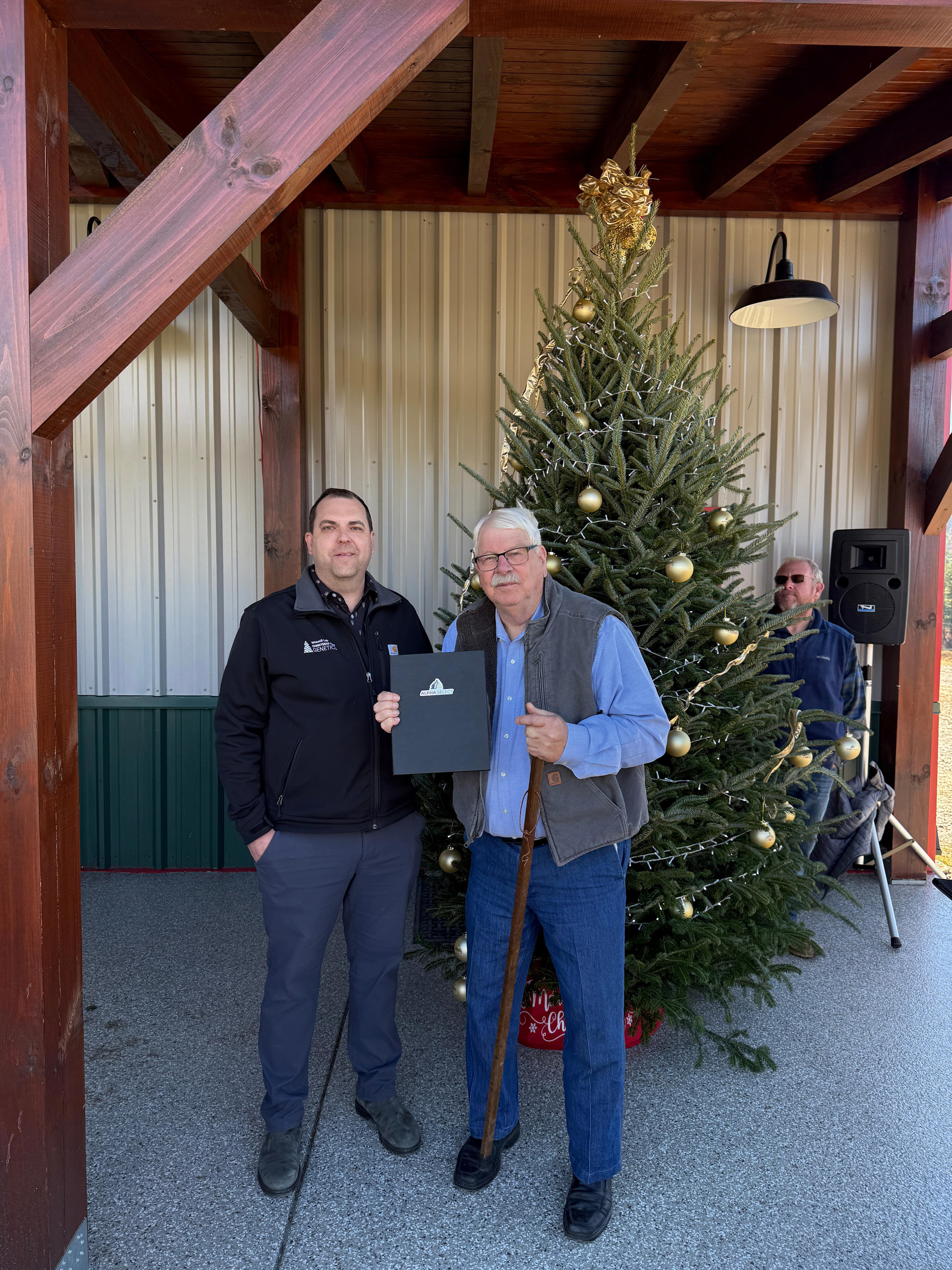 Christmas trees face 'perfect storm' of disease, drought