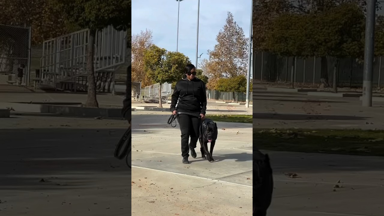 Just a girl and her big dog strutting their stuff