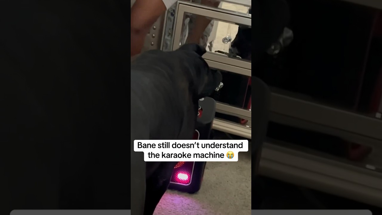 Dog unsure whether to love or hate mom’s karaoke machine
