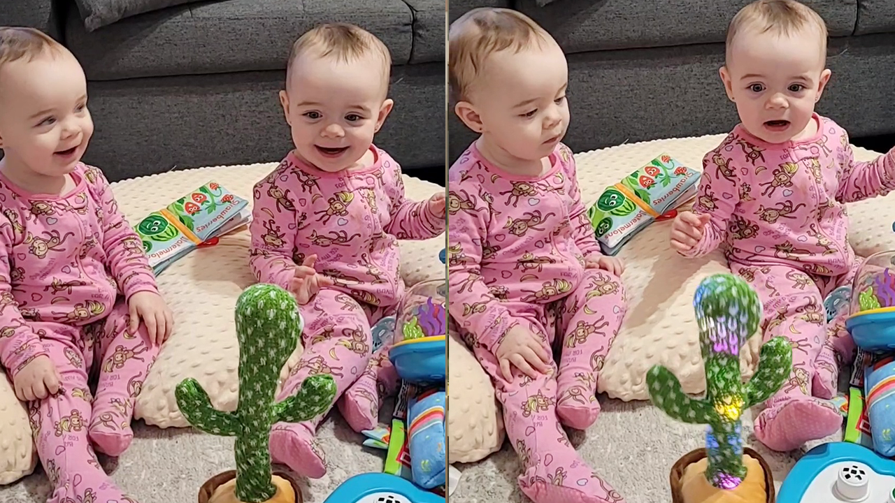 'Identical twins have a blast playing with 'mocking cactus' on their ...