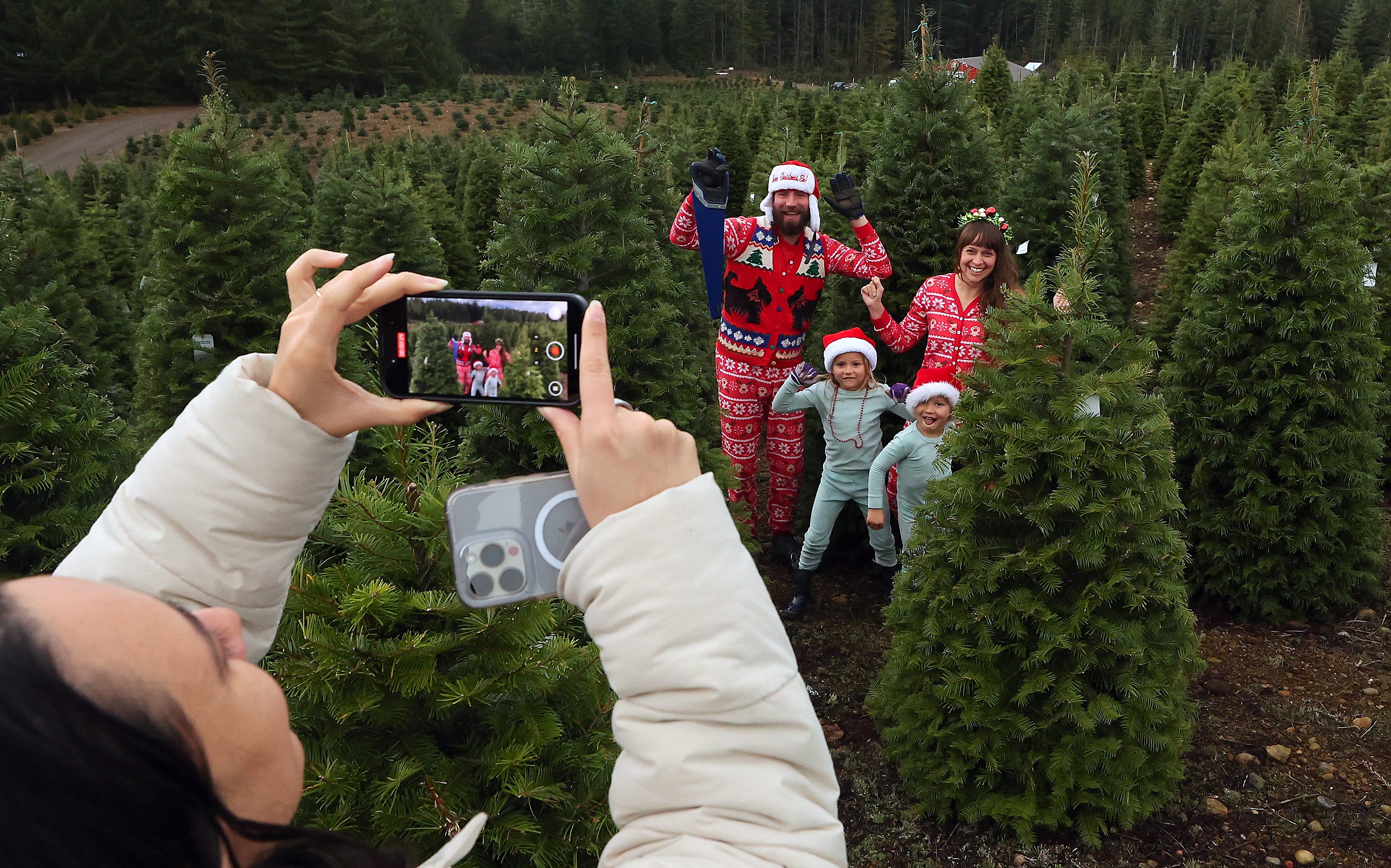 Tree season arrives in Kitsap, here's where to go find yours