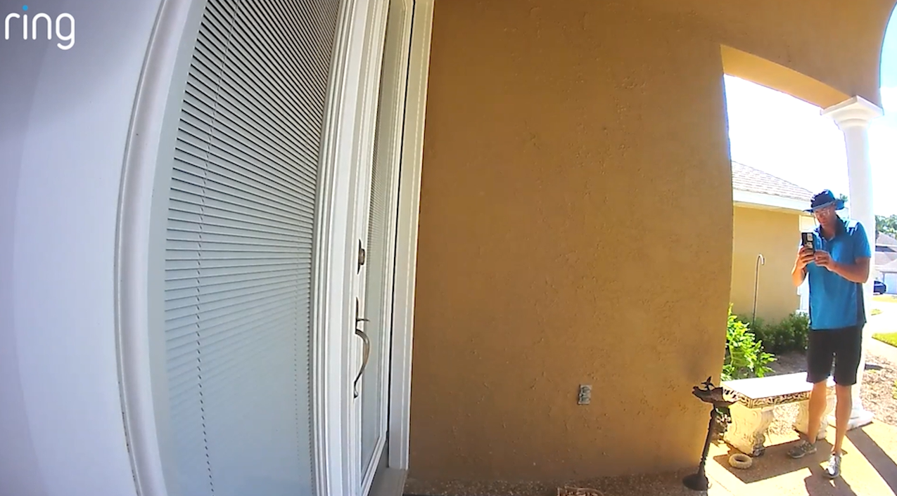 Amazon Driver Sees Food Left Out For Stray Cats–Hearts Melt At What He Does