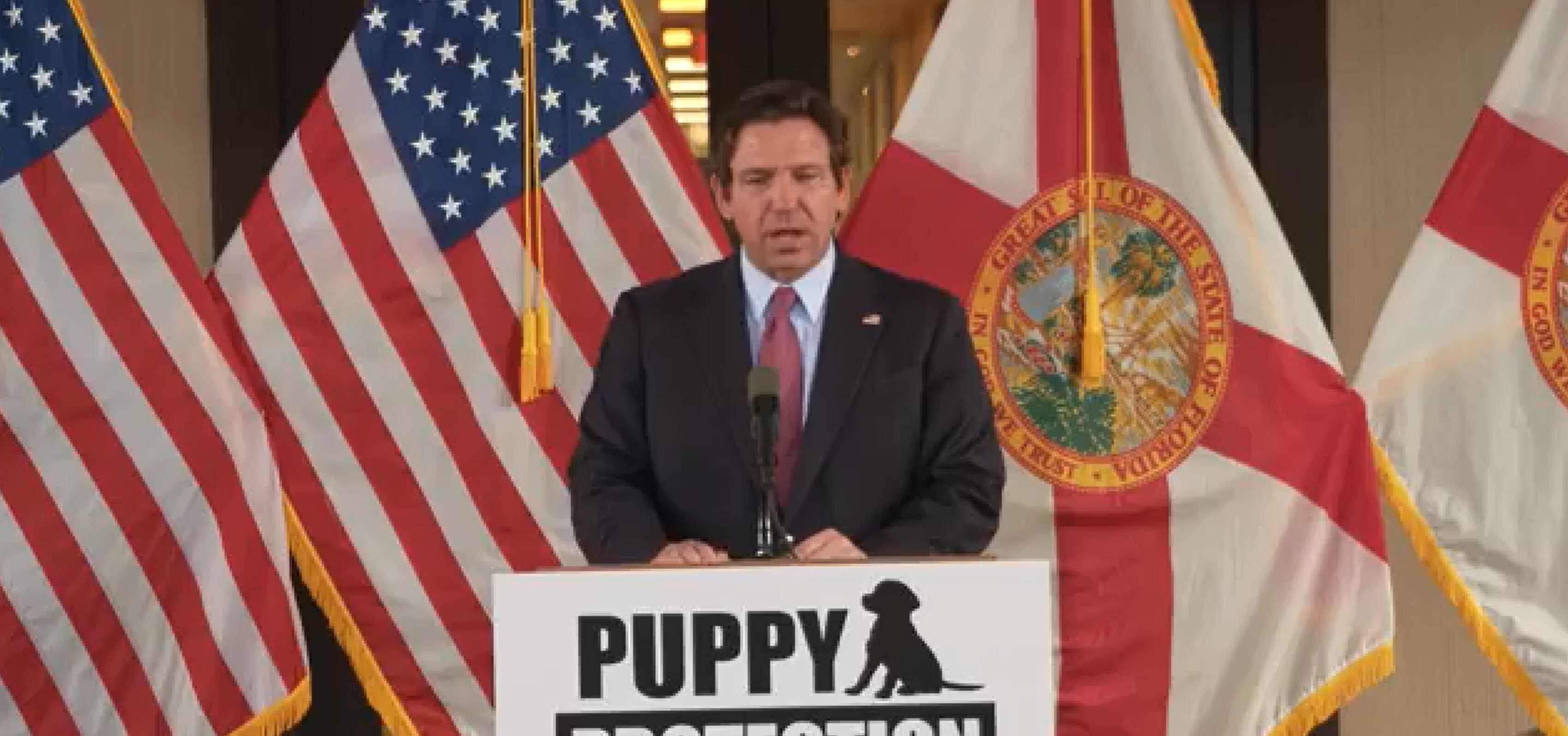 Governor DeSantis announces proposal to develop standard practices for ...