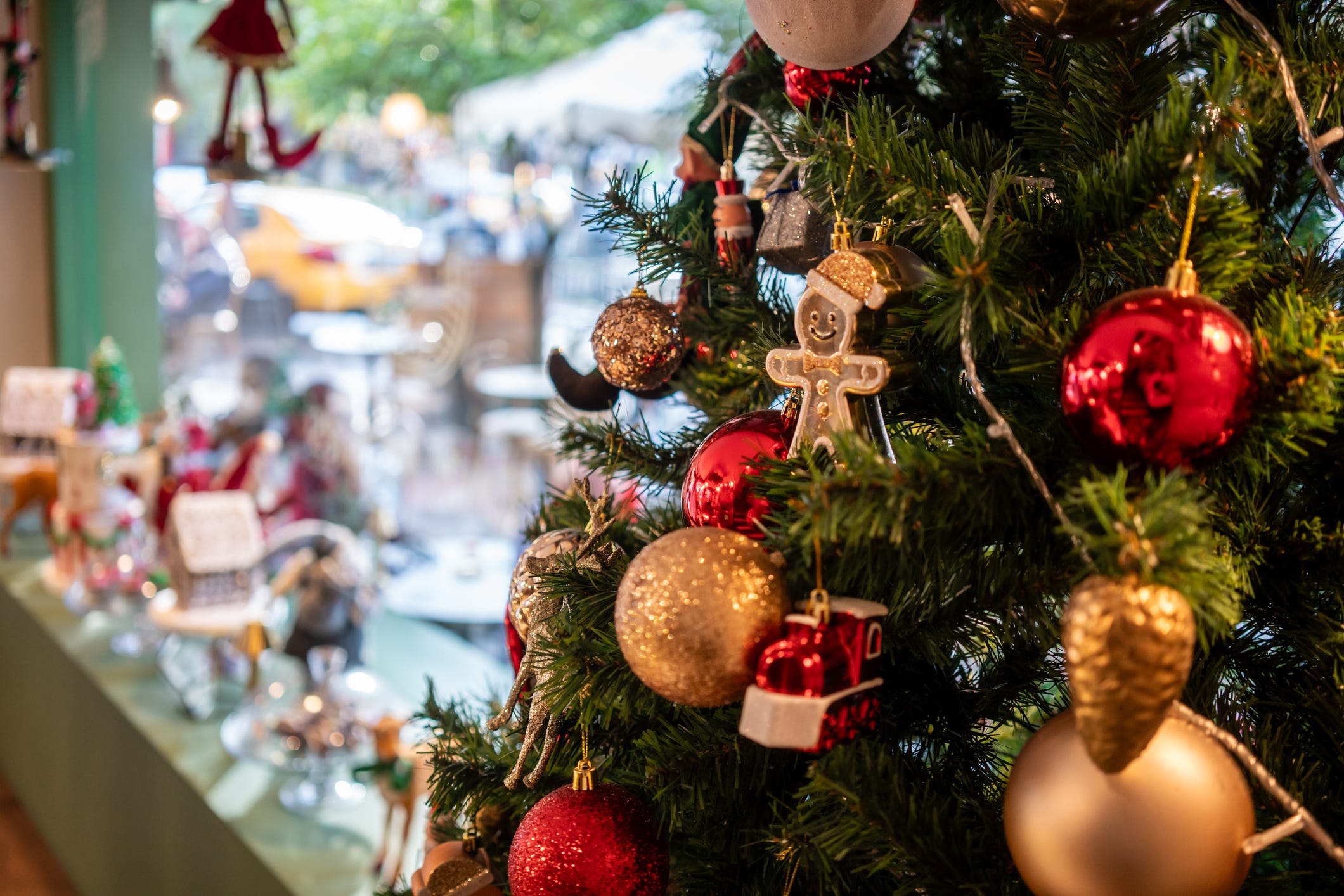 Need a Christmas tree? Here's the most popular Christmas trees in NJ