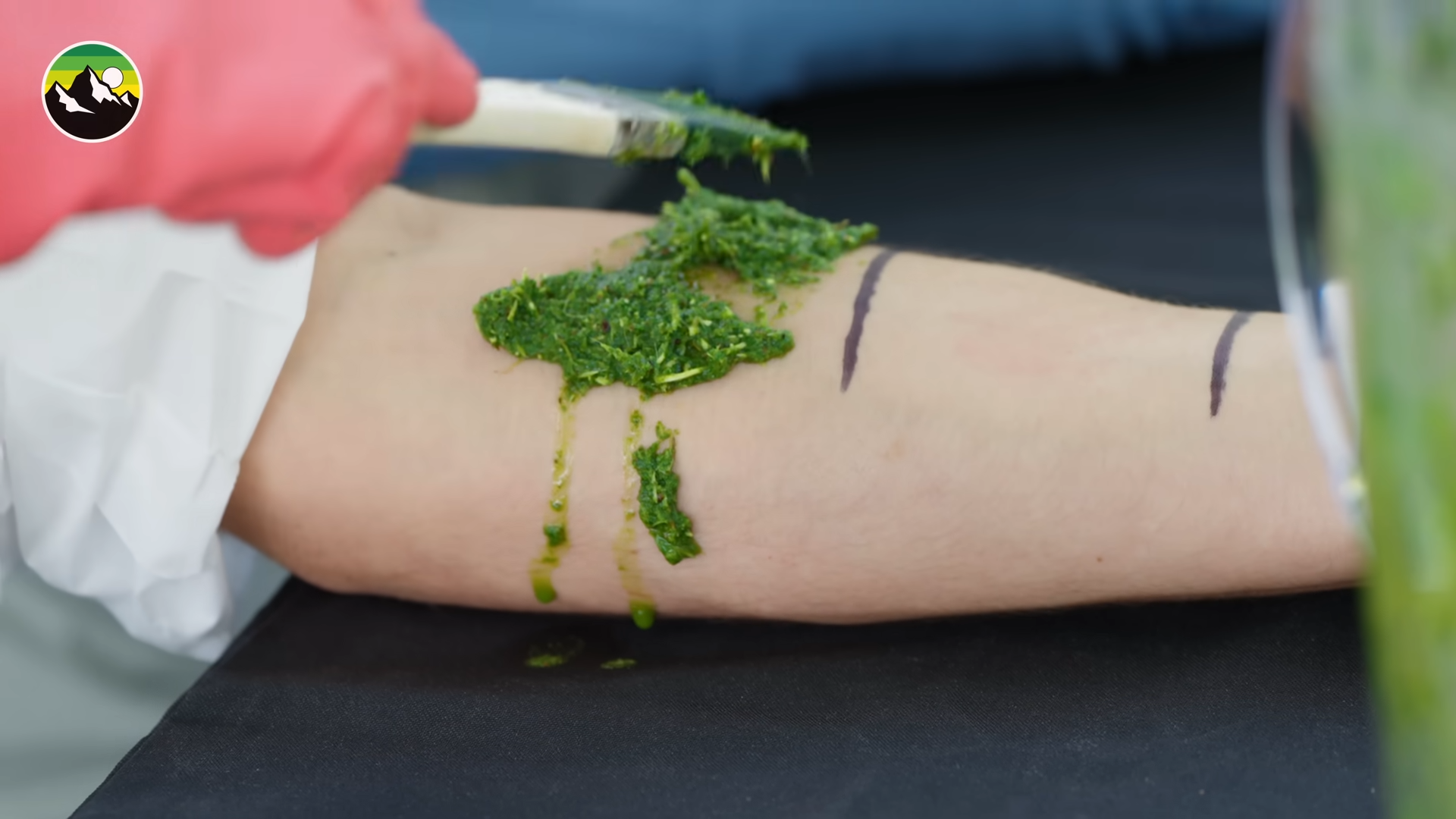 What happens when poison ivy is accidentally consumed