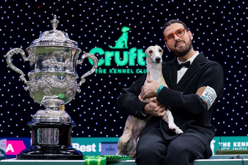 Crufts 2026 at Birmingham NEC confirmed as tickets go on sale