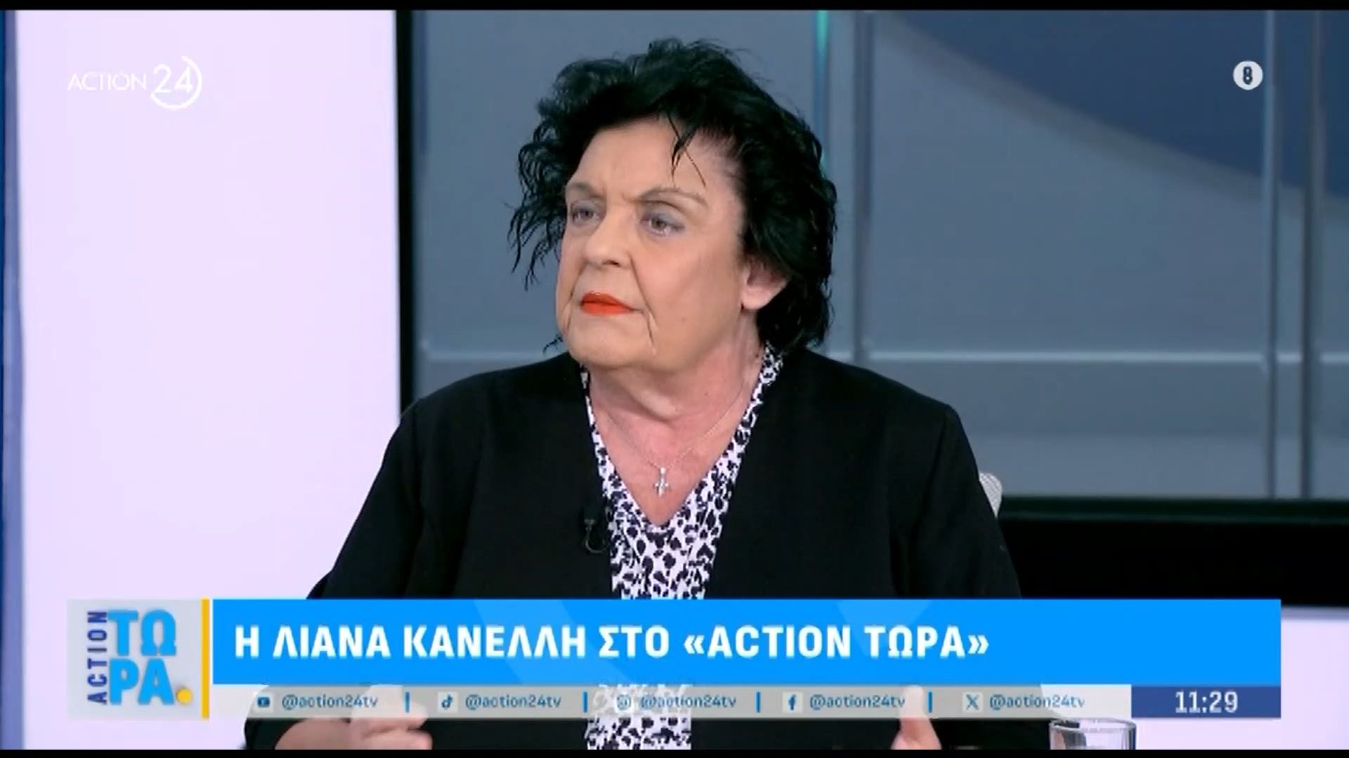 Λ. Κανέλλη: «Θα έπρεπε να είναι εθνικό ζήτημα τα μέτρα ασφαλείας στις ...
