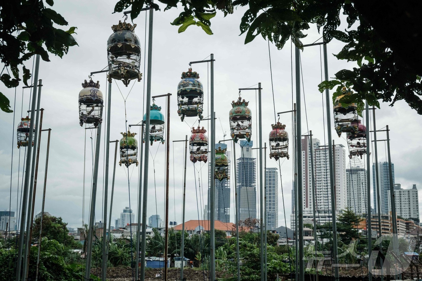 '4200만' 자카르타, 인구 순위에서 전 세계 최대 도시 등극