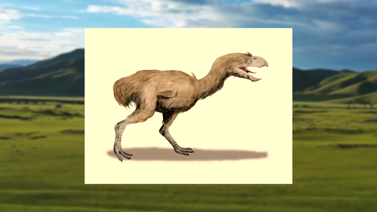 Three animals alive today that carry the DNA of prehistoric legends