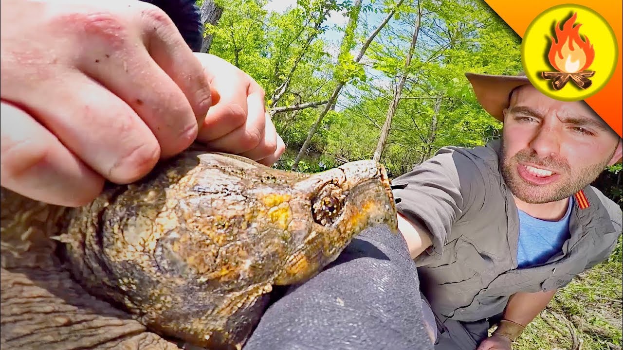 The bite that captivated scientists worldwide