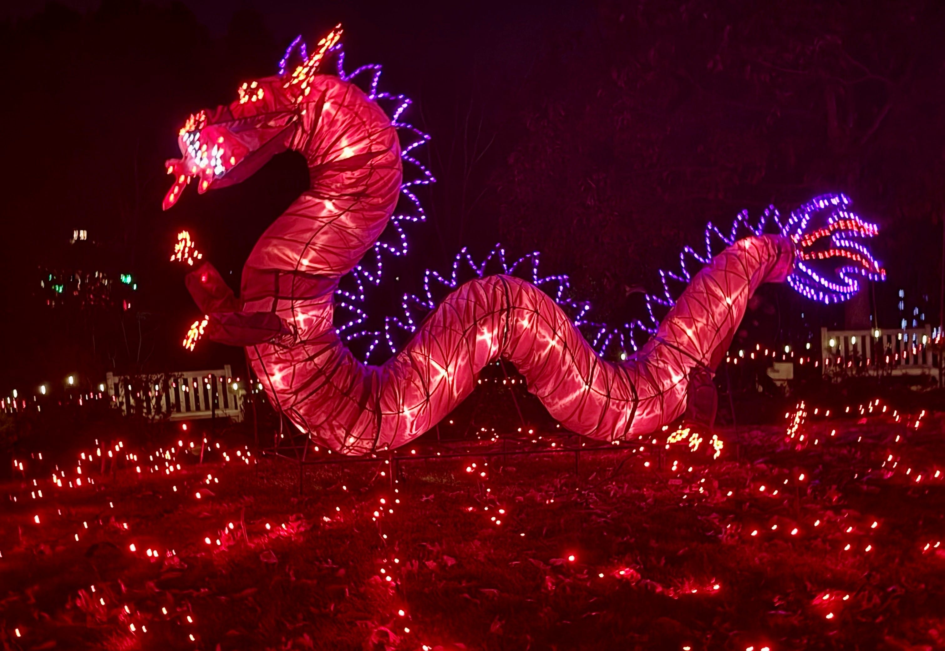 What's new at Garden of Lights this year? Lasers, and Tic Tac Snow