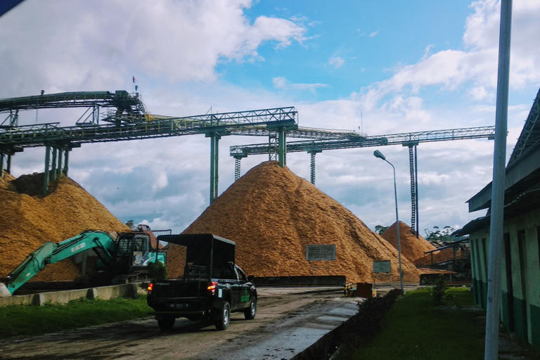 KLH dan Kemenperin beda sikap soal Toba Pulp Lestari penyebab banjir ...
