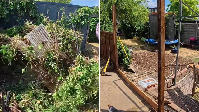 Landscapers share time-lapse video of intense project in overgrown yard ...