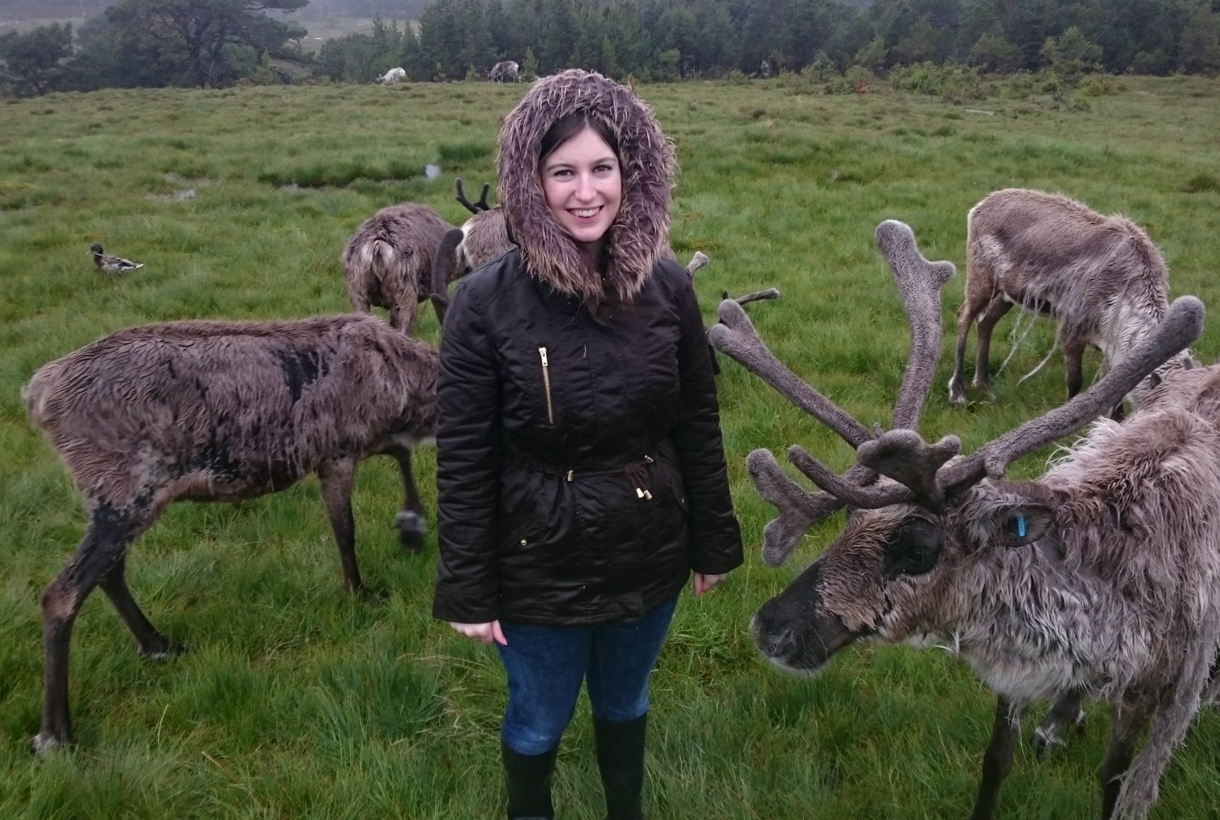 I was born and raised in Scotland. First-time visitors to the Scottish ...