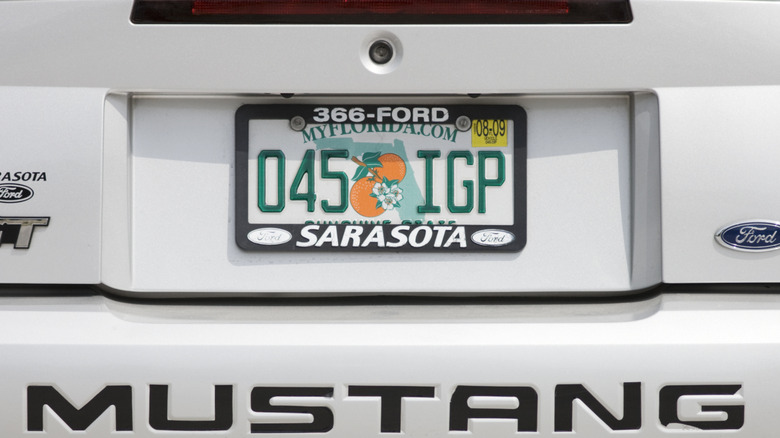 Fines & Jail Time? Florida Isn't Messing Around With License Plate Frames