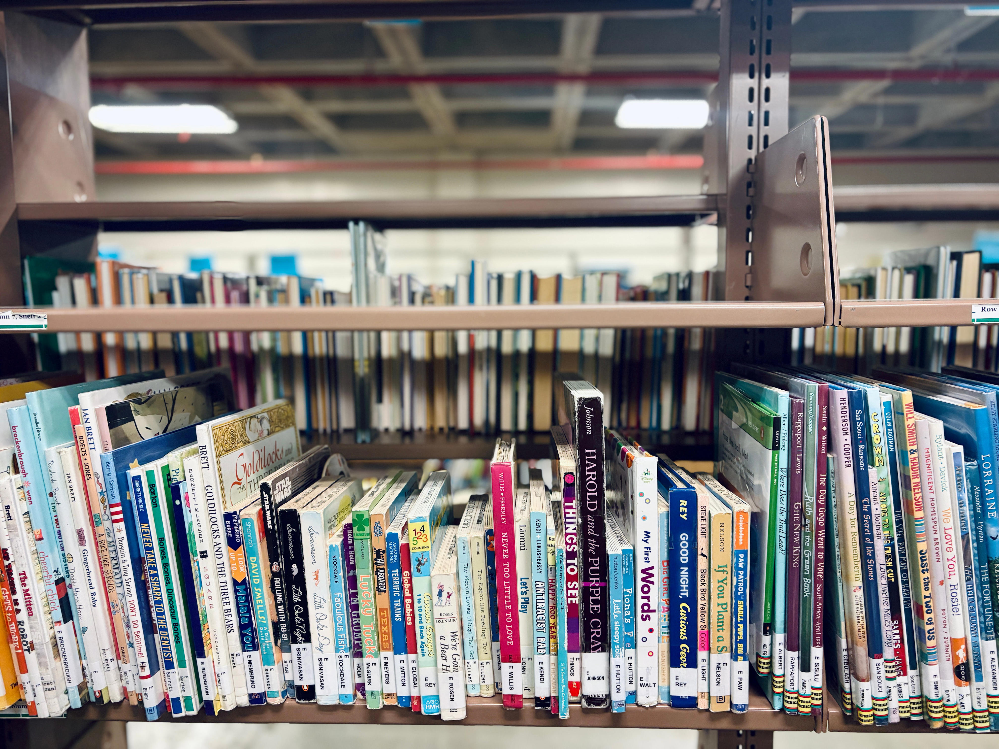 Friends of the Amarillo Public Library's sale draws book-lovers galore