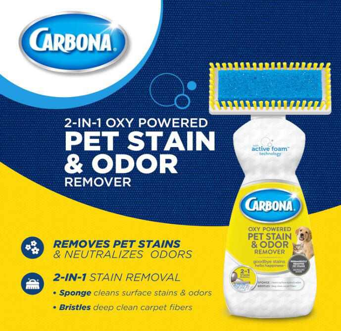 4 Must-Have Cleaning Items If You're a Pet Parent