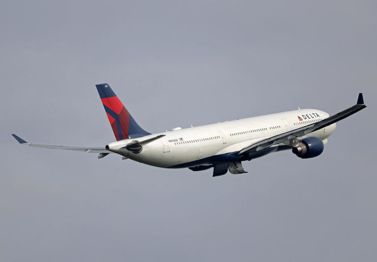 A Delta flight from Paris to Minneapolis U-turned after less than 20 ...