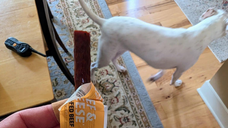 Archer beef sticks review: Big, bold flavors that make jerky worth it