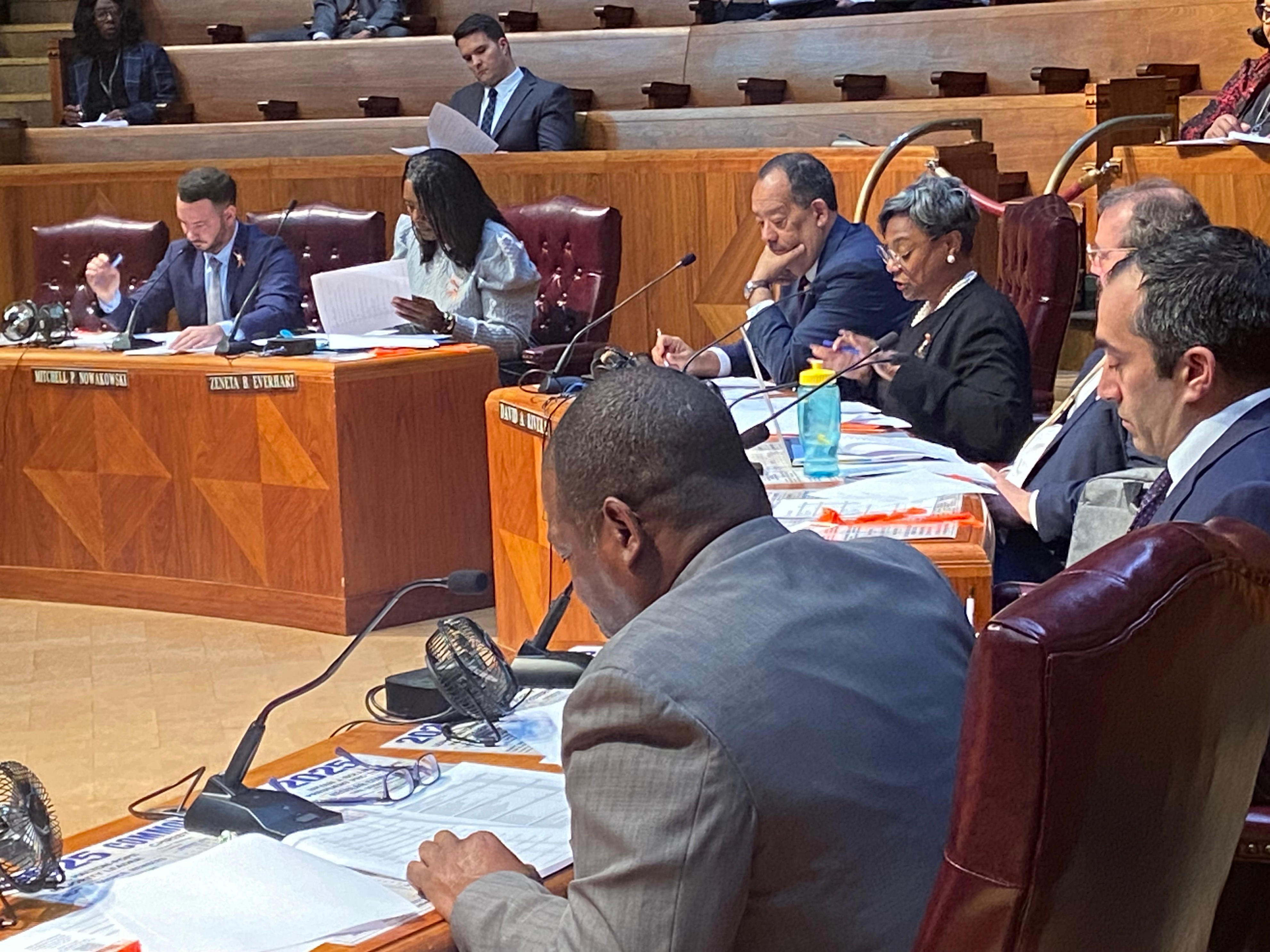 Common Council goes after vacant lots