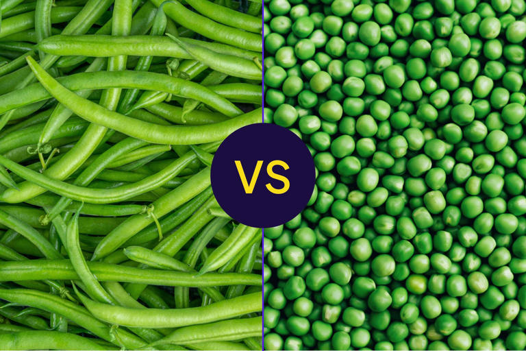 Green Beans vs. Peas: Which Is Higher in Fiber and Protein?