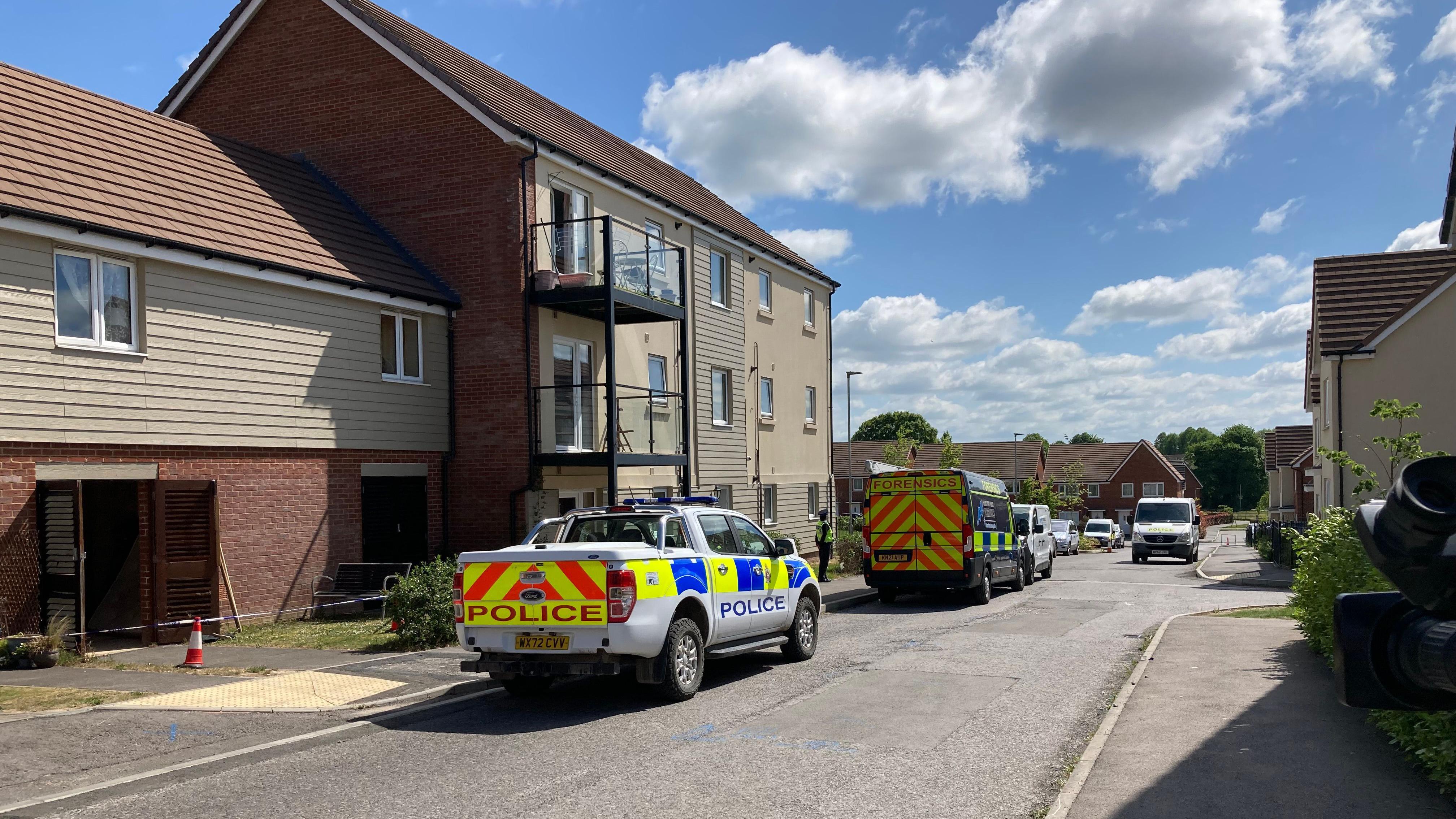 Man accused of murder was 'harmless', court told