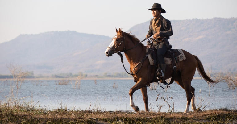 What Is the Meaning of the Slang Term 'Howdy?' It Might Be Your Kink