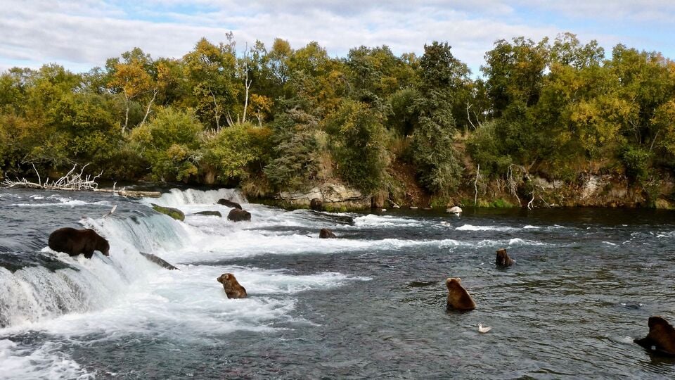 US National Parks access: Annual pass $80 for residents, $250 for ...