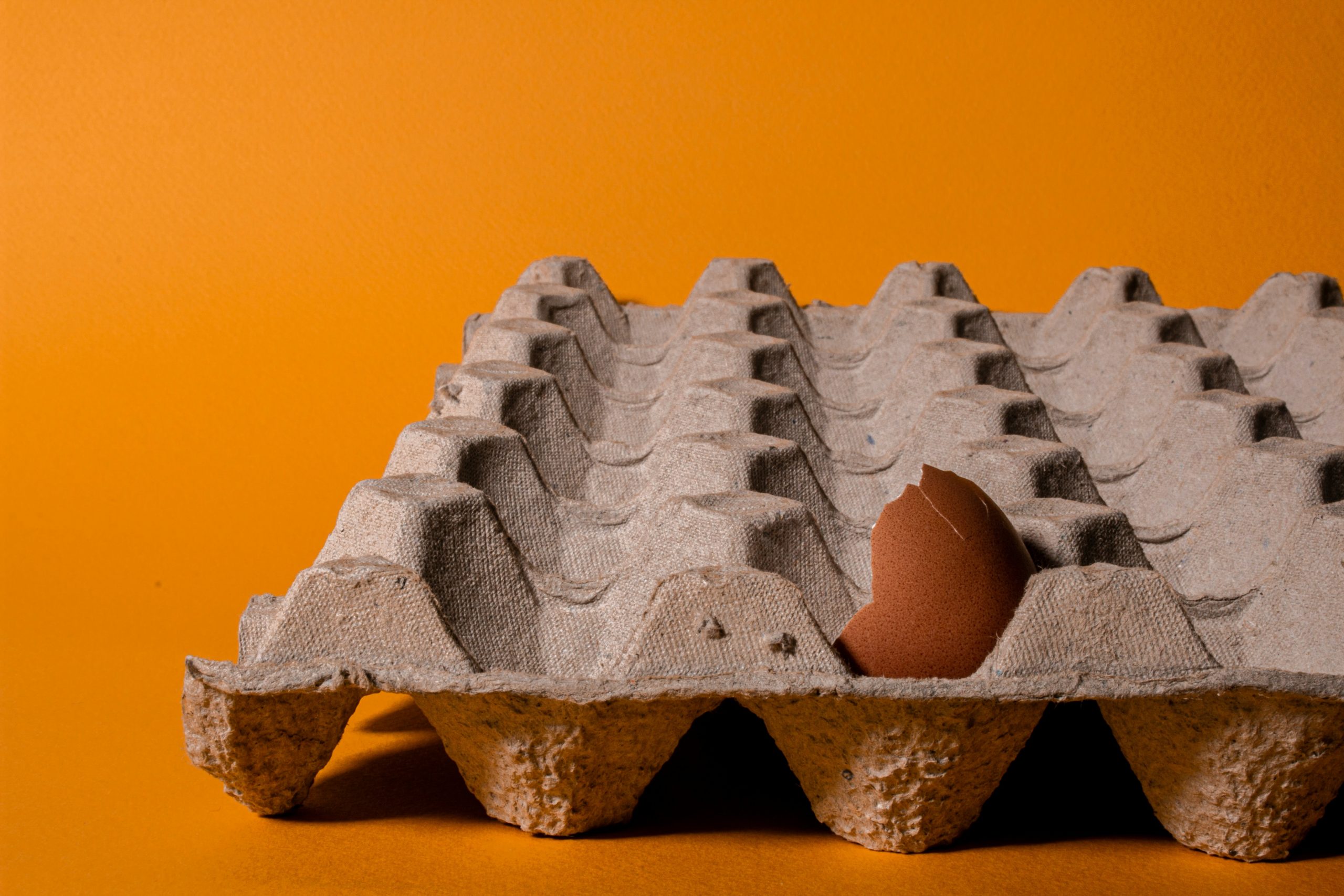 Creative Uses for Empty Egg Cartons