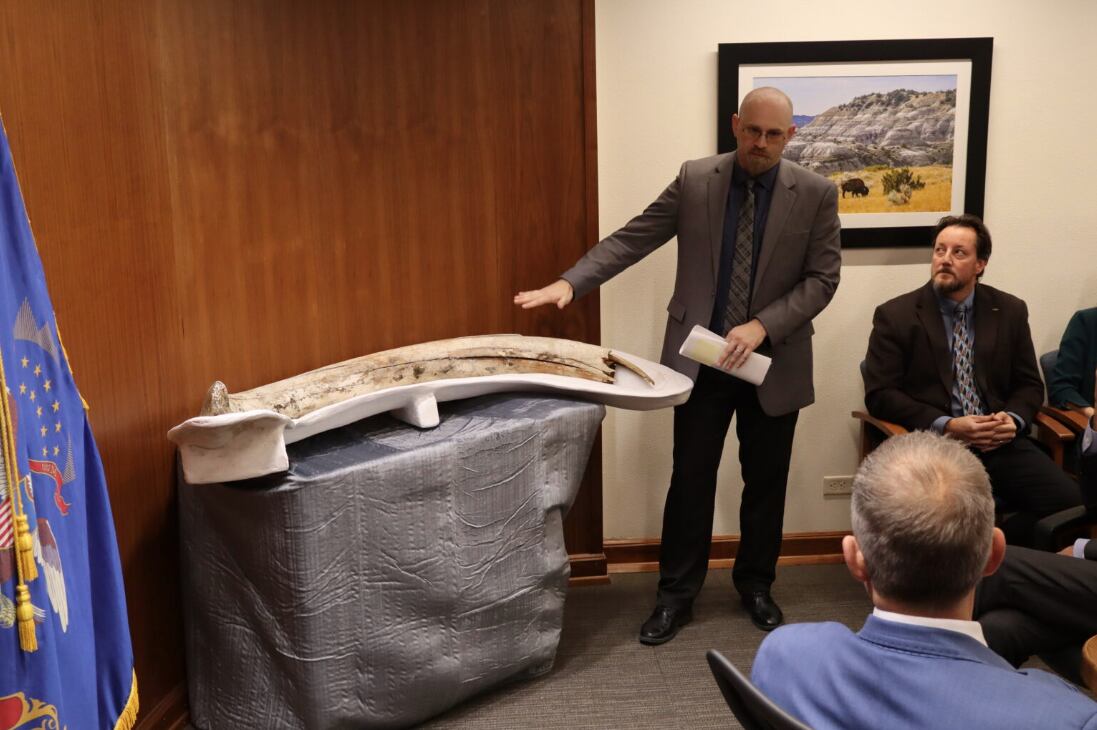Rare T. rex find in North Dakota, mammoth fossil digs ‘significant’ for ...